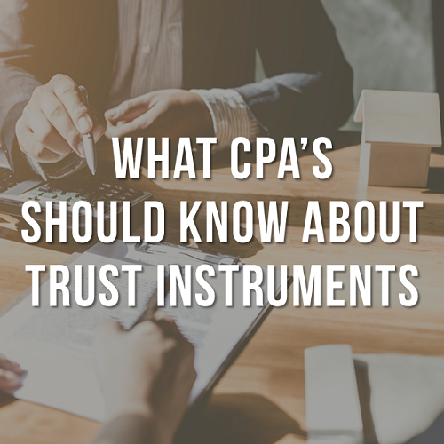 INSTANT DOWNLOAD: "What CPA's Should Know About Trust Instruments"