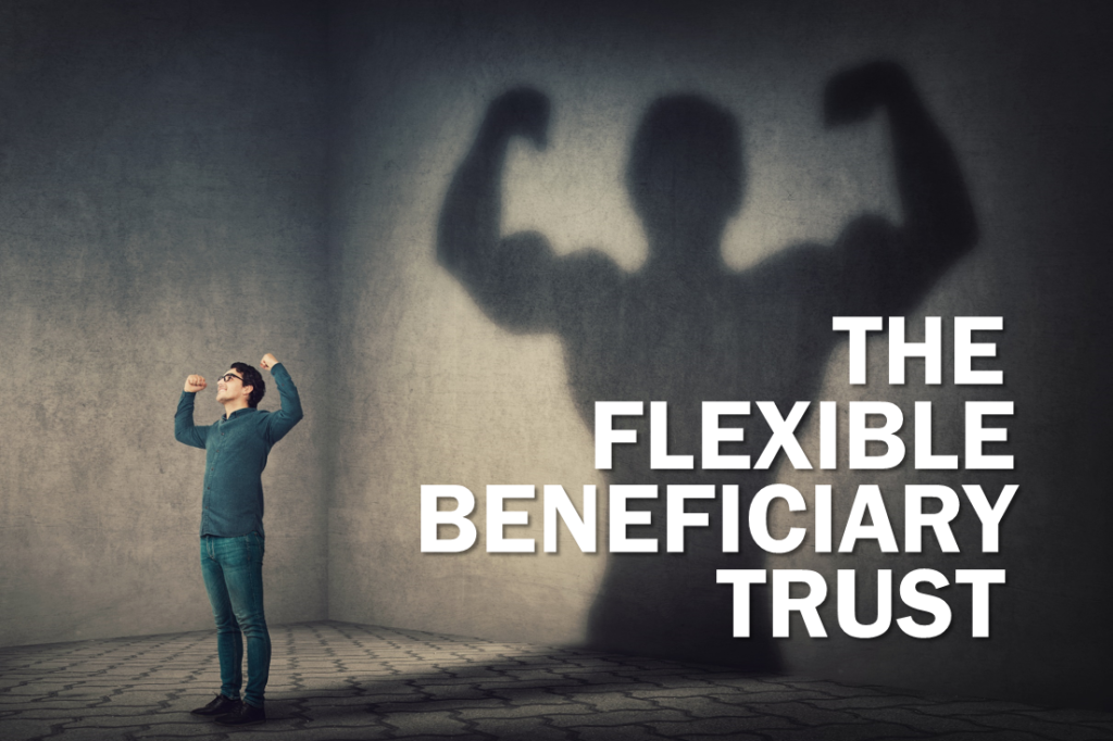 INSTANT DOWNLOAD: The Flexible Beneficiary Trust: Reduce Trust Income ...